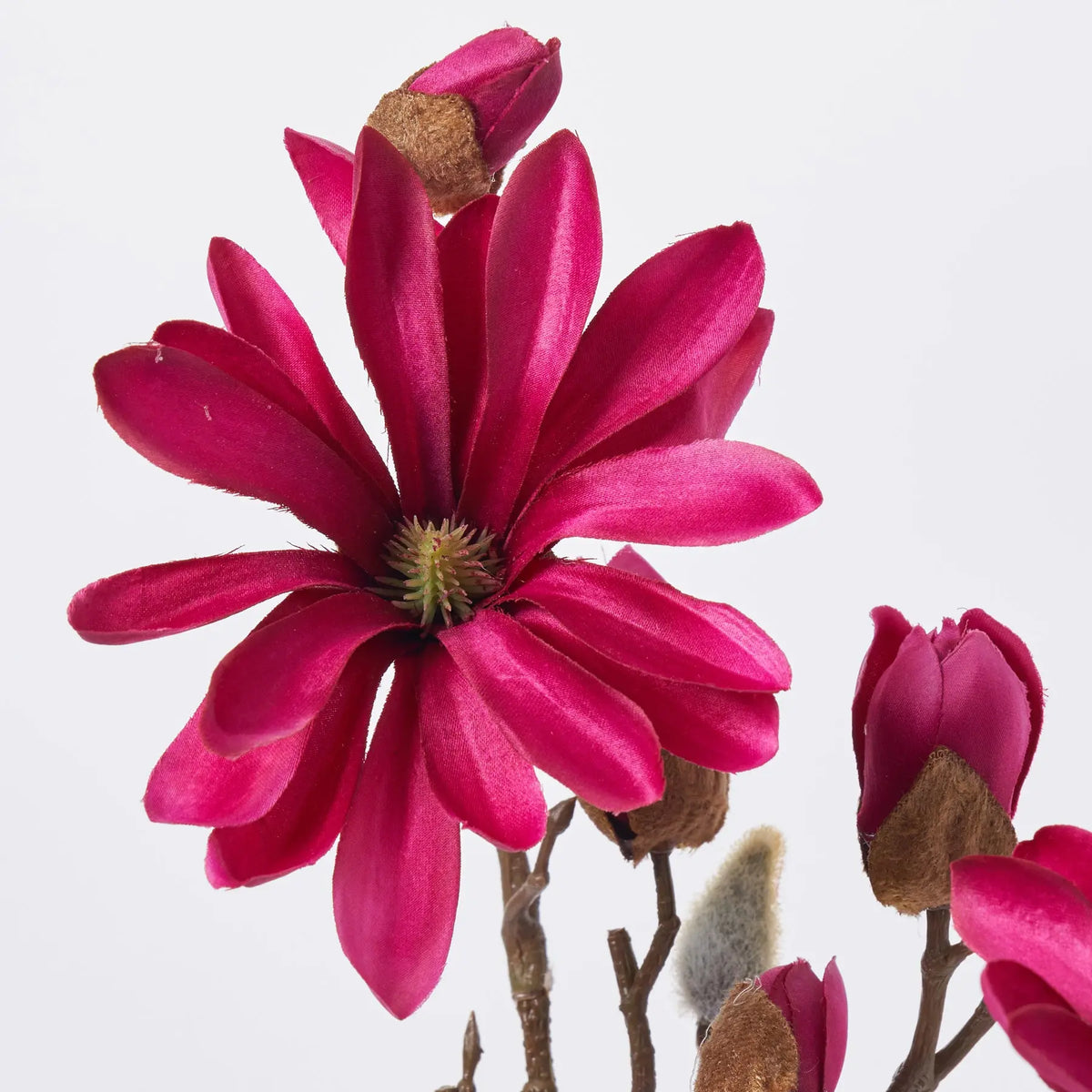 Blooming Dark Fuchsia Pink Silk Japanese Magnolia Blossoms & Bud Branc ...