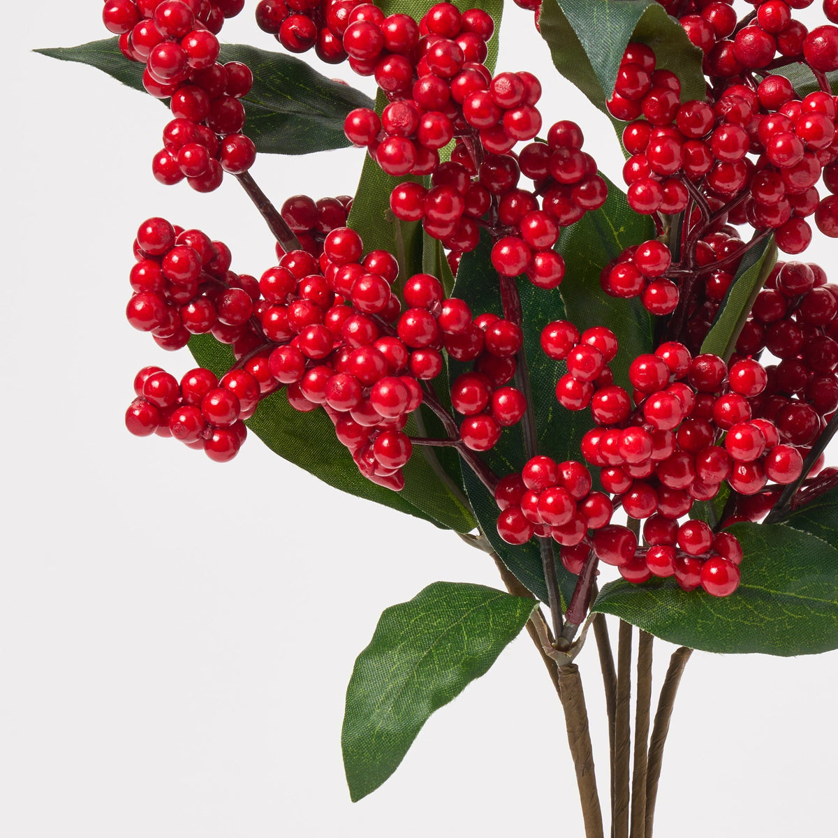 Candy Apple Red Wild Currant Berry Branch Winter Stem Spray - 18 ...