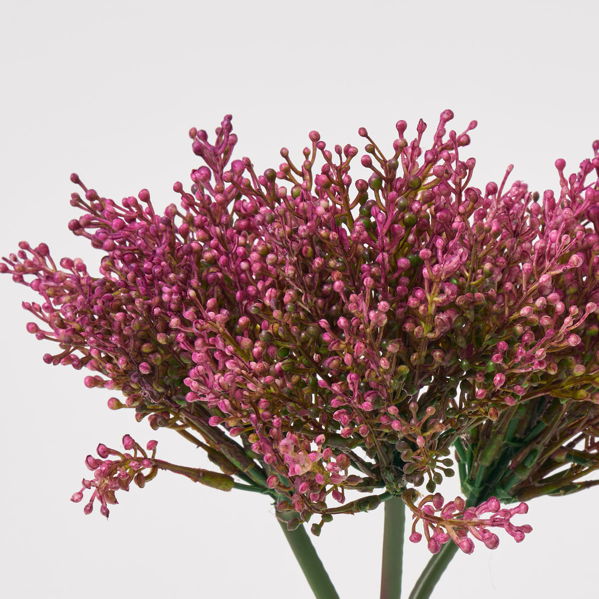 Seeding Twilight Lavender Bouquet Spray Bundle of 3 Stems - 12" – Darby ...