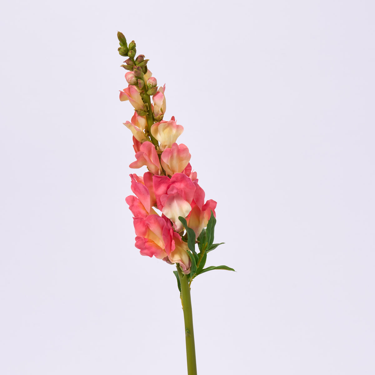 Real Touch Tropical Punch Snapdragon Spray Single Stem Faux Floral - 2 ...