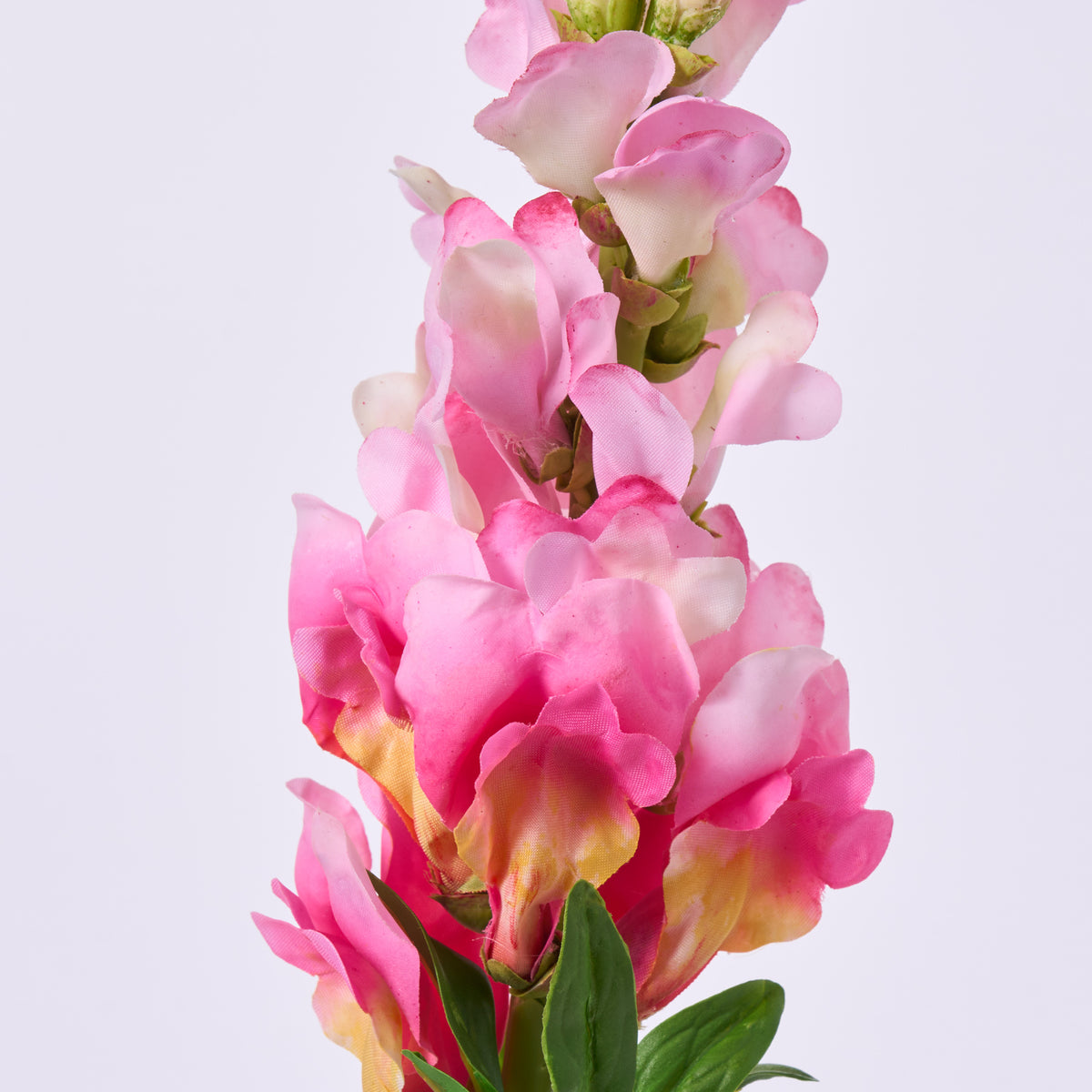 Real Touch Blooming Bright Pink Orchid Snapdragon Spray Single Stem Fa ...