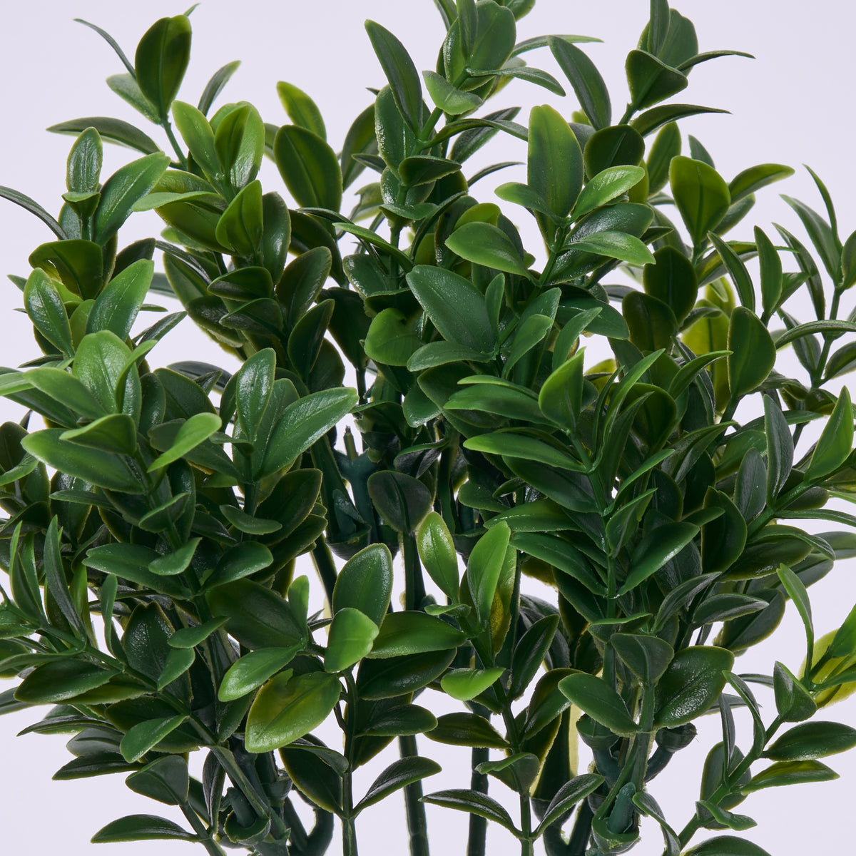 Deluxe All Season Greenery Faux Boxwood Bush Spray - 10" – Darby Creek ...