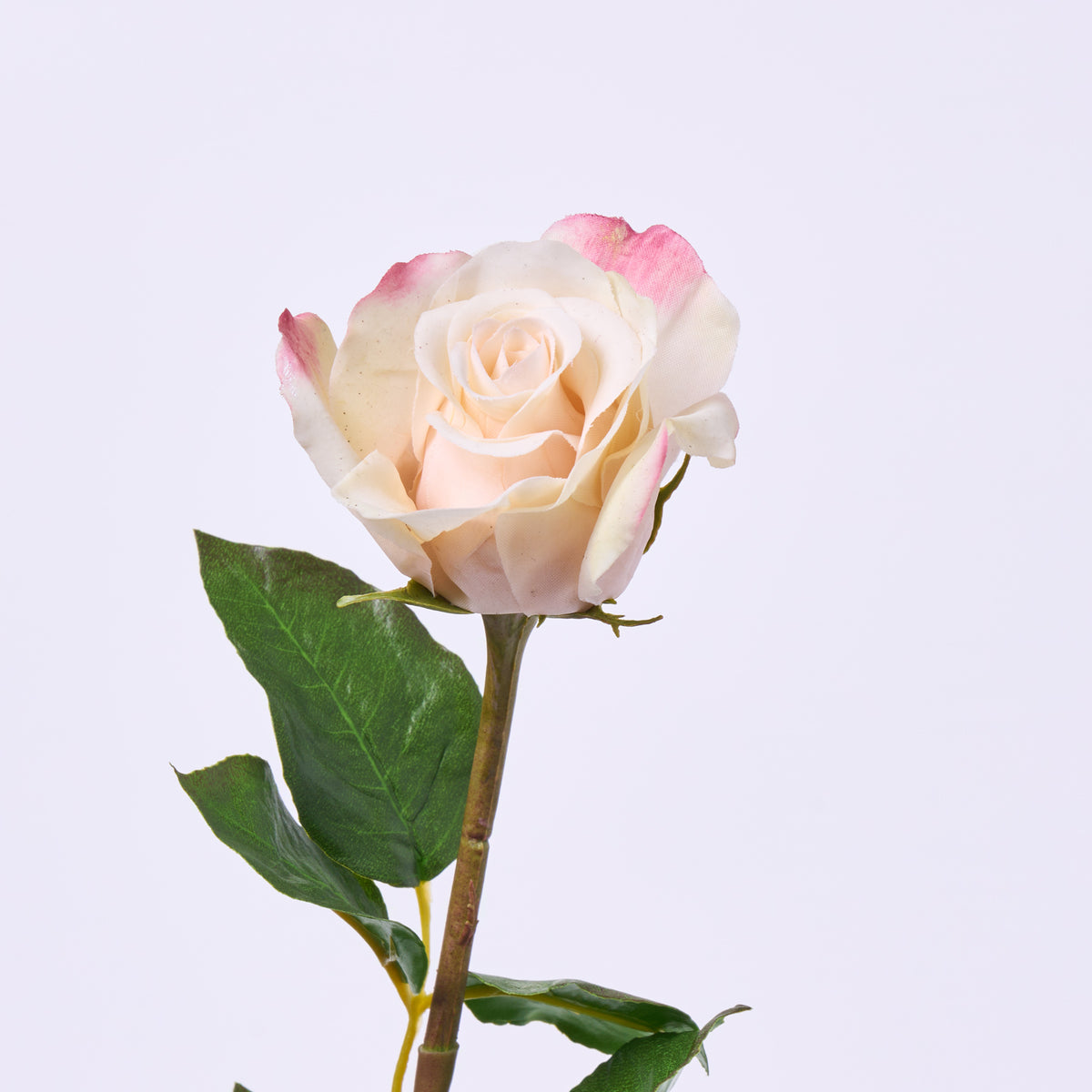 Real Touch Cream & Light Pink Dutchess Rose Small Bloom Single Faux Fl ...