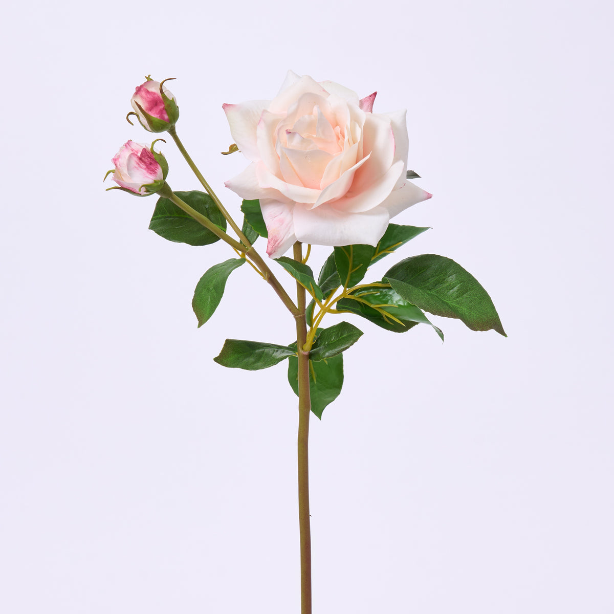 Real Touch Light Pink Sweet Juliette English Rose Bloom Single Long St ...
