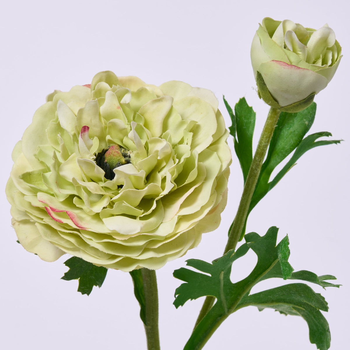 Blooming Chartreuse Green Real Touch Ranunculus Spray Dried Look Faux ...