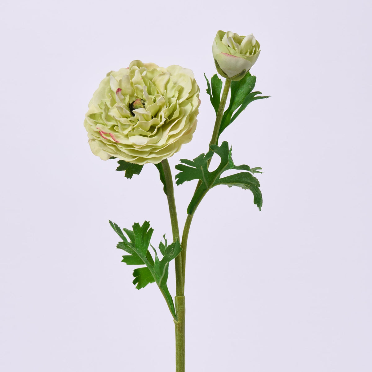 Blooming Chartreuse Green Real Touch Ranunculus Spray Dried Look Faux ...