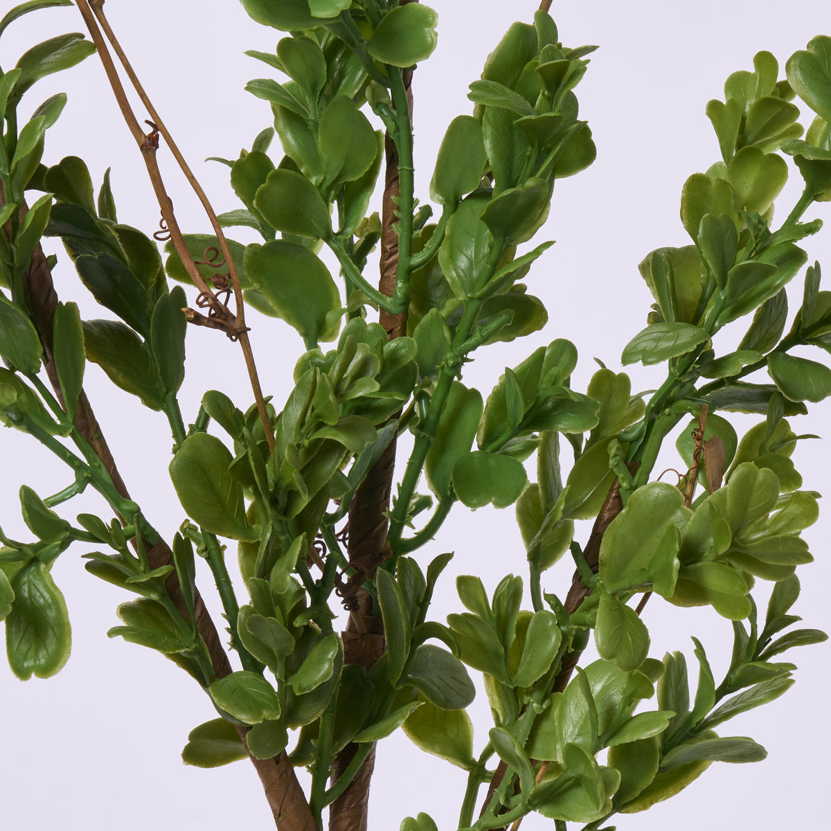 Lifelike All Season Faux Boxwood Greenery Branch Spray - 28" – Darby ...