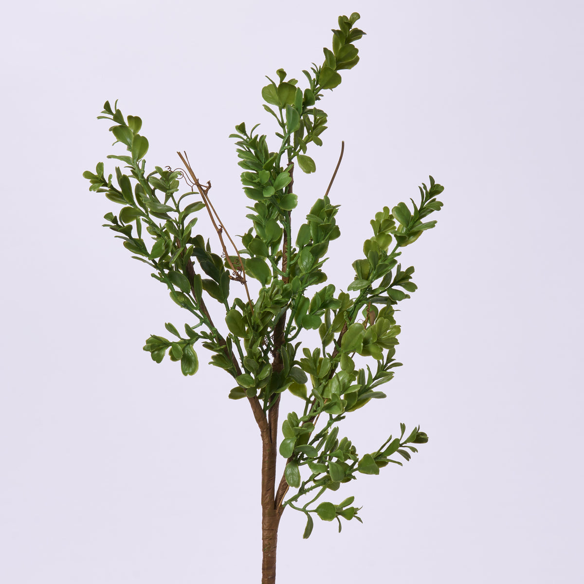 Lifelike All Season Faux Boxwood Greenery Branch Spray - 28" – Darby ...