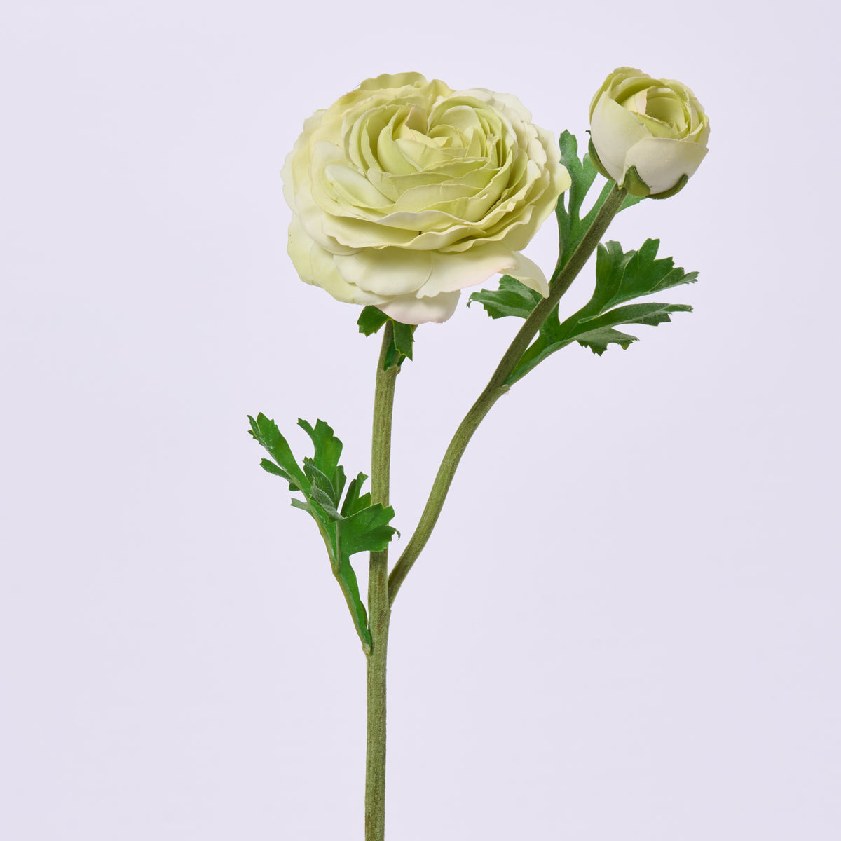 Chartreuse Green Real Touch Ranunculus Bloom & Bud Spray Single Faux F ...