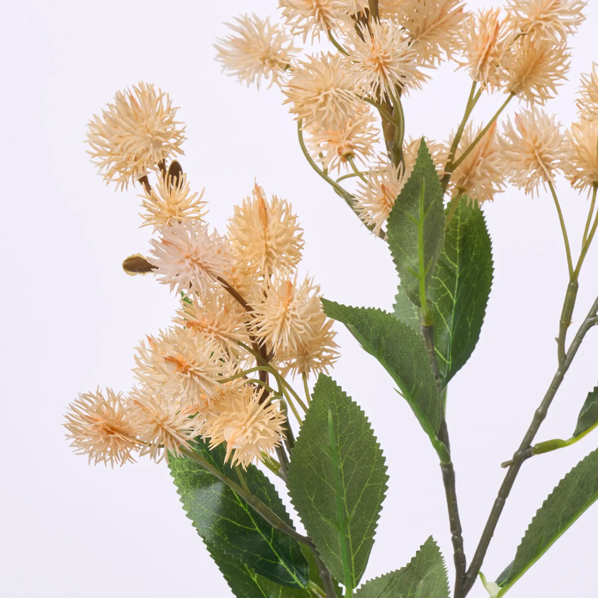 Lifelike Fuzzy Beige Thistle Branch Spray - 30" – Darby Creek Trading
