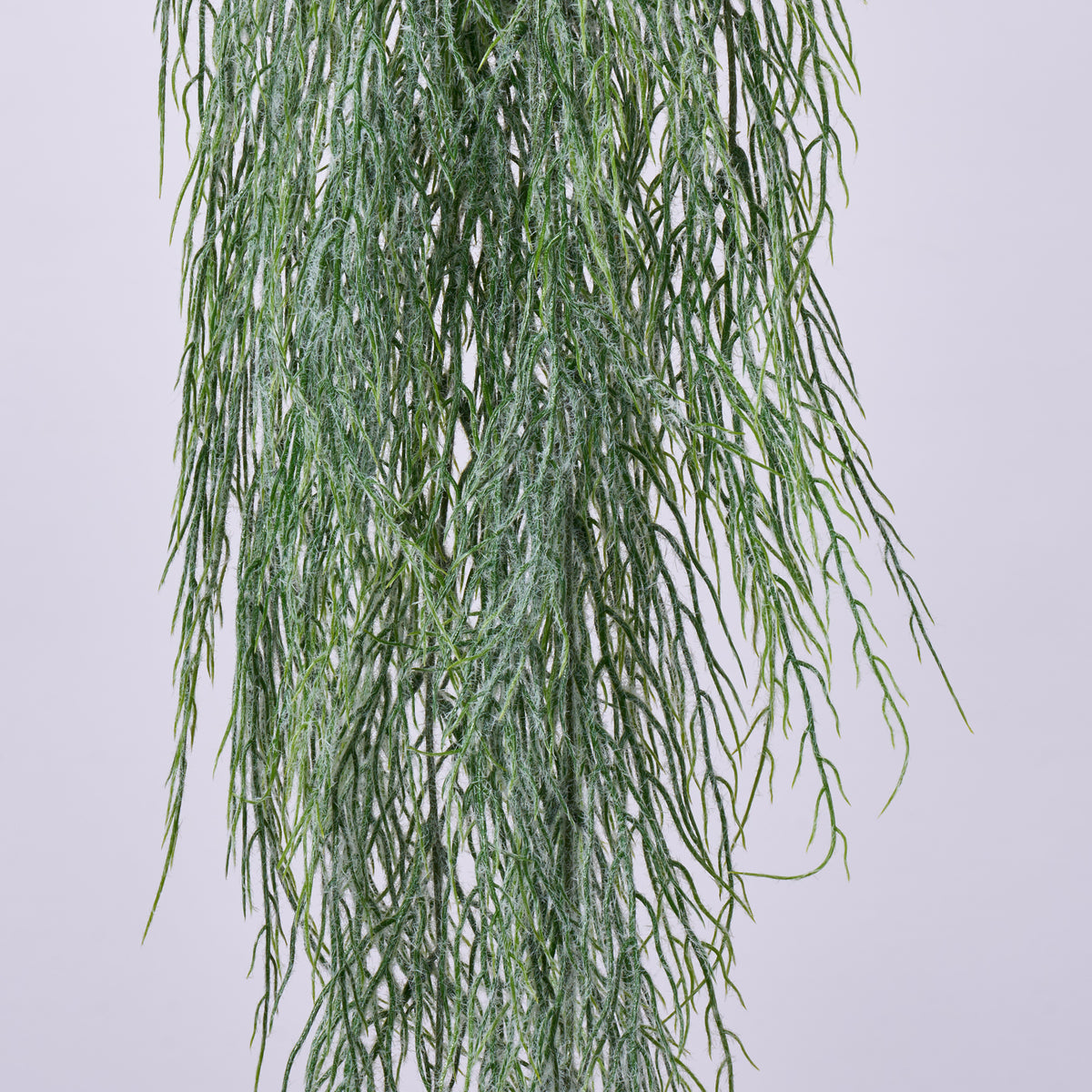 Flocked Hanging Moss Bush Wispy Faux Foliage Spray - 35" – Darby Creek ...