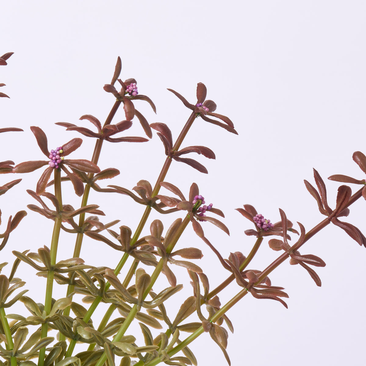 Burgundy & Green Wispy Succulent Foliage Faux Branch Spray - 11 ...