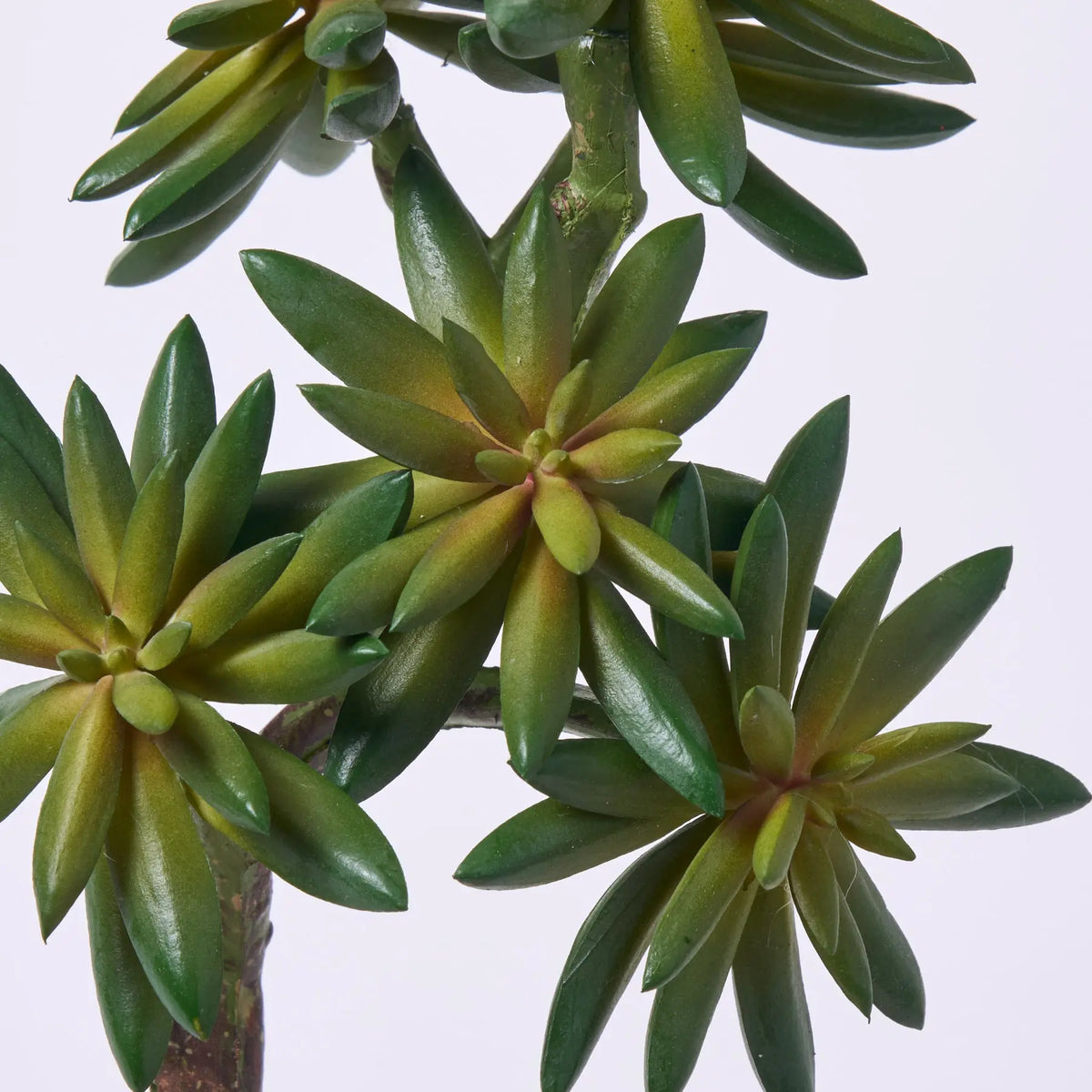 Lush Forest Green Soft PE Succulent Plant Spray - 8" – Darby Creek Trading