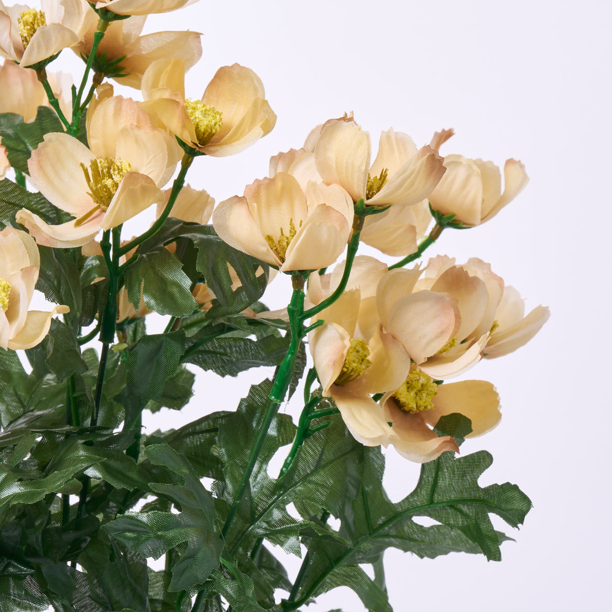 Beige Silk Wildflower Cosmos Bush Spray - 19" – Darby Creek Trading