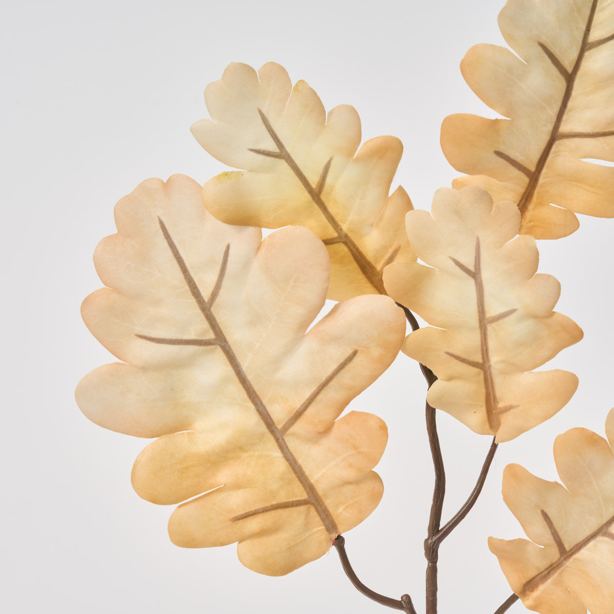 Bleached Cream Oak Leaf Faux Fall Branch Spray - 16" – Darby Creek Trading
