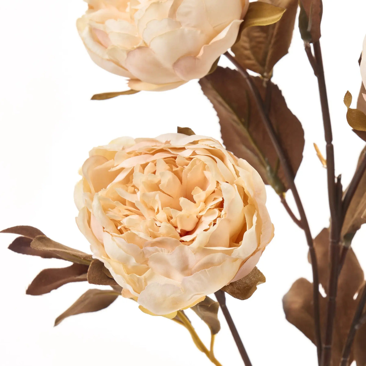 Cream Candlelight Harvest Peony Bloom & Bud Faux Floral Branch Spray ...