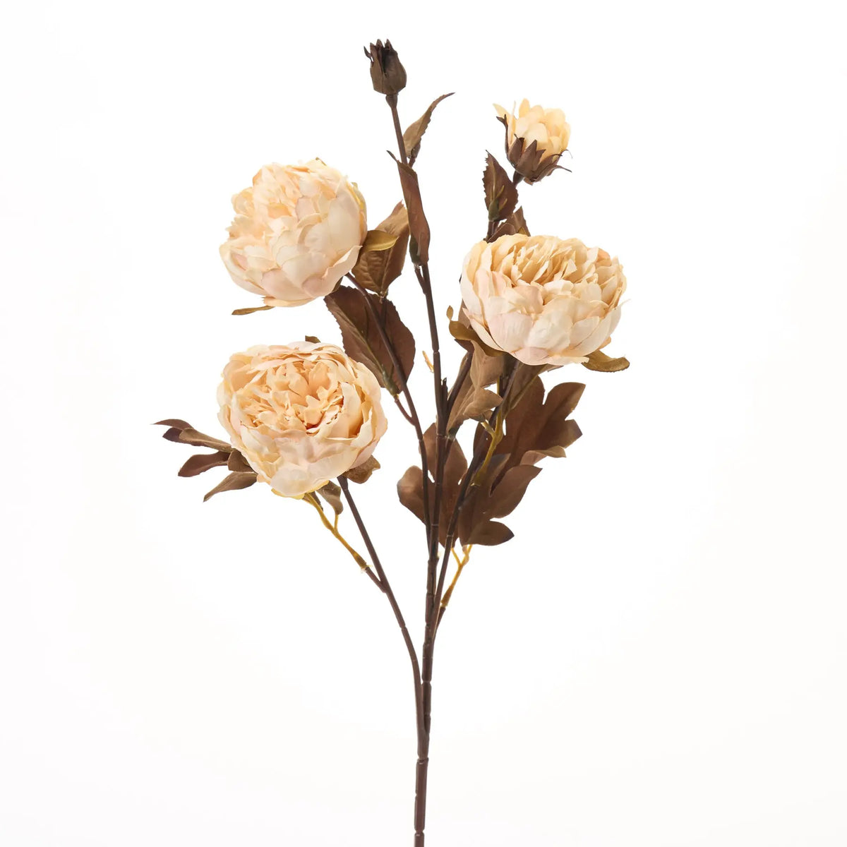 Cream Candlelight Harvest Peony Bloom & Bud Faux Floral Branch Spray ...