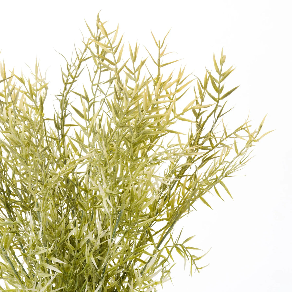 Yellow & Sage Green Common Juniper Bundle of 14 Stems - 26" - Darby ...