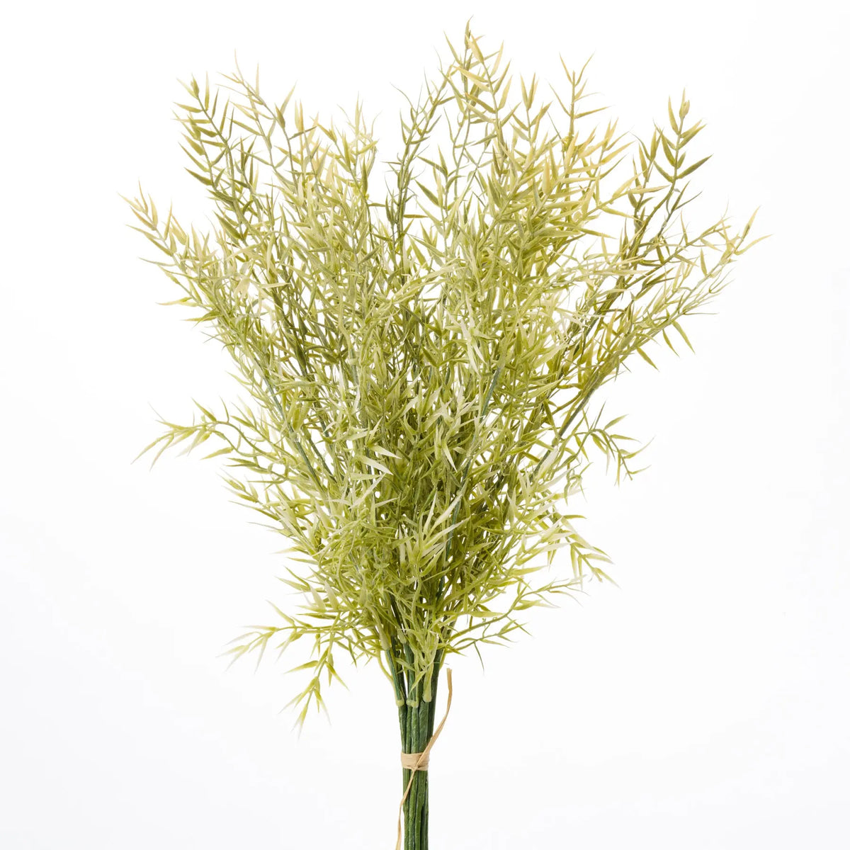 Yellow & Sage Green Common Juniper Bundle of 14 Stems - 26" - Darby ...