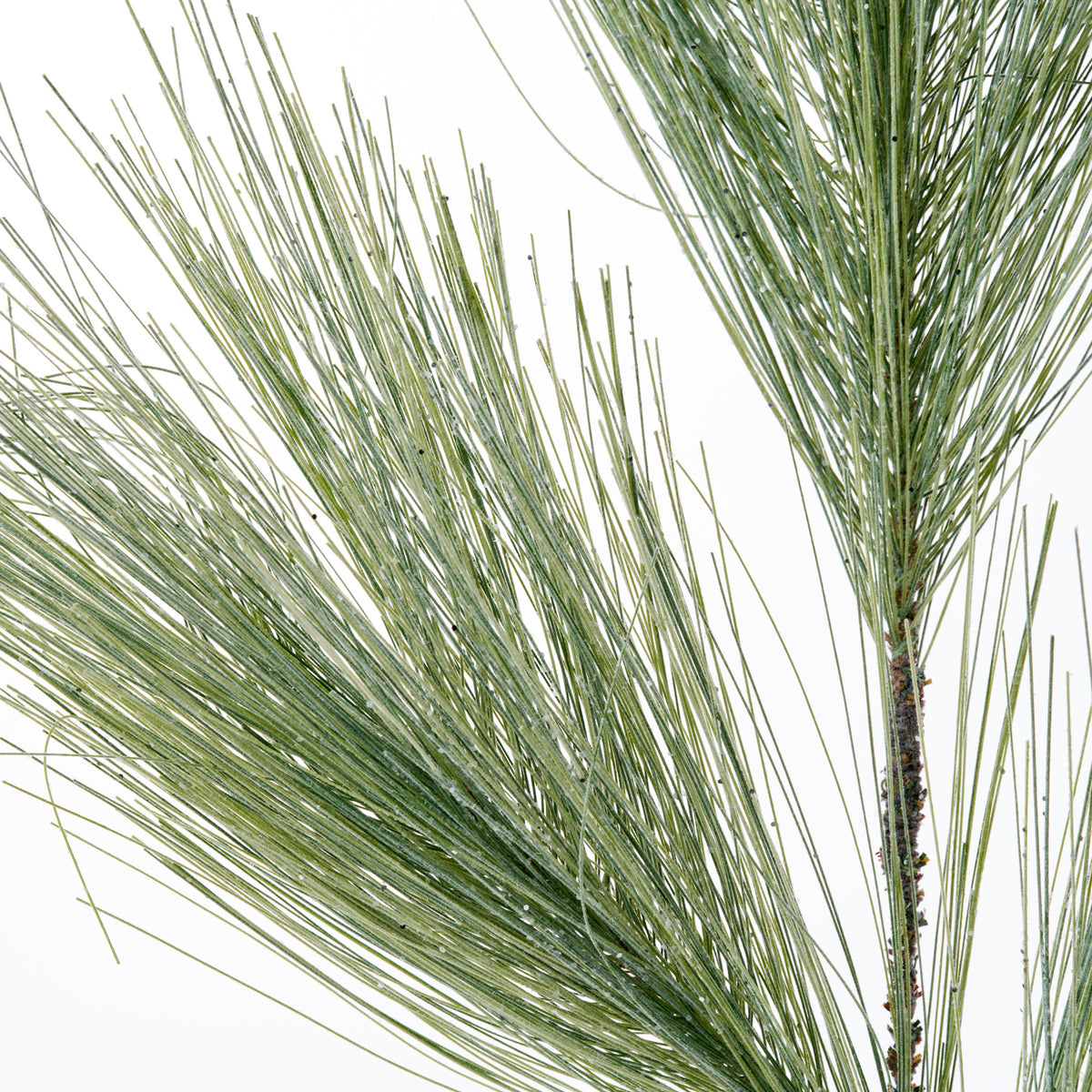 Frosted Shimmer Sage Green Long Needle Pine Branch Spray - 28" – Darby ...