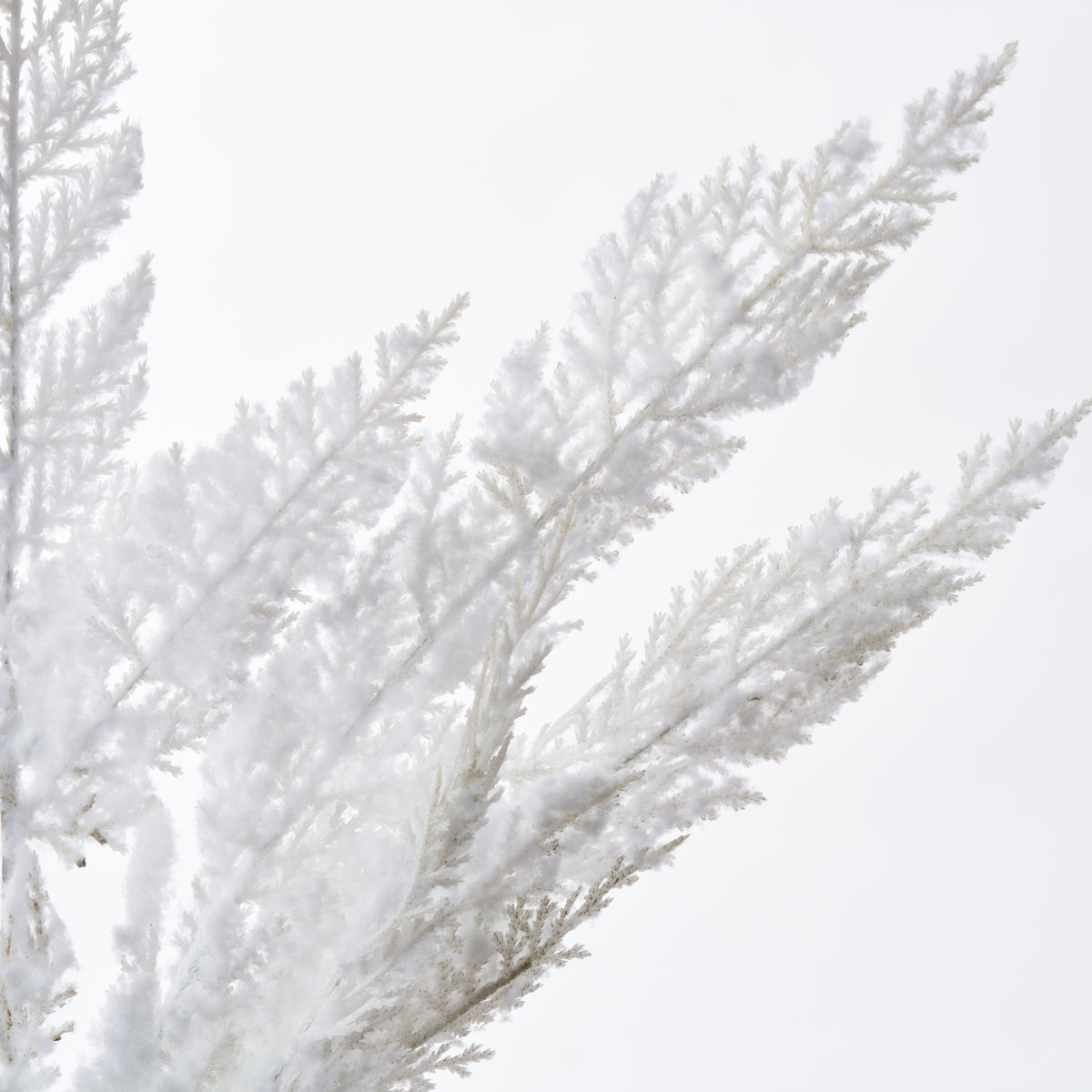 Snow Flocked Winter White Cedar Branch Spray - 24" – Darby Creek Trading