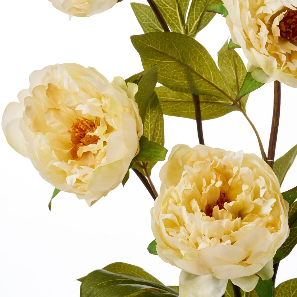 Beige Peony Lifelike Blooms & Leaf Branch Spray - 36" – Darby Creek Trading