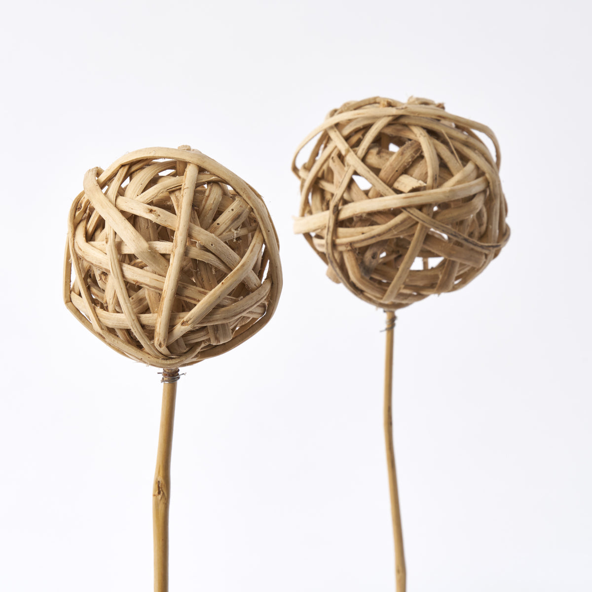 Natural Rattan Ball on Wood Pick - Set of 3 – Darby Creek Trading