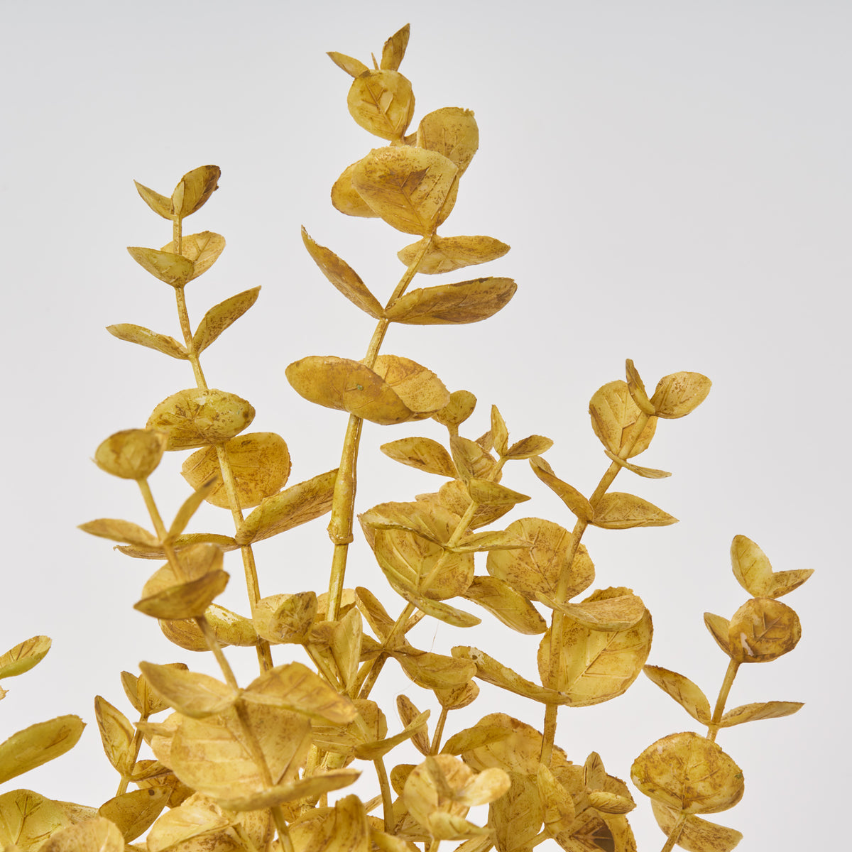 Cream Gold Faux Eucalyptus Bush Spray - 15" – Darby Creek Trading