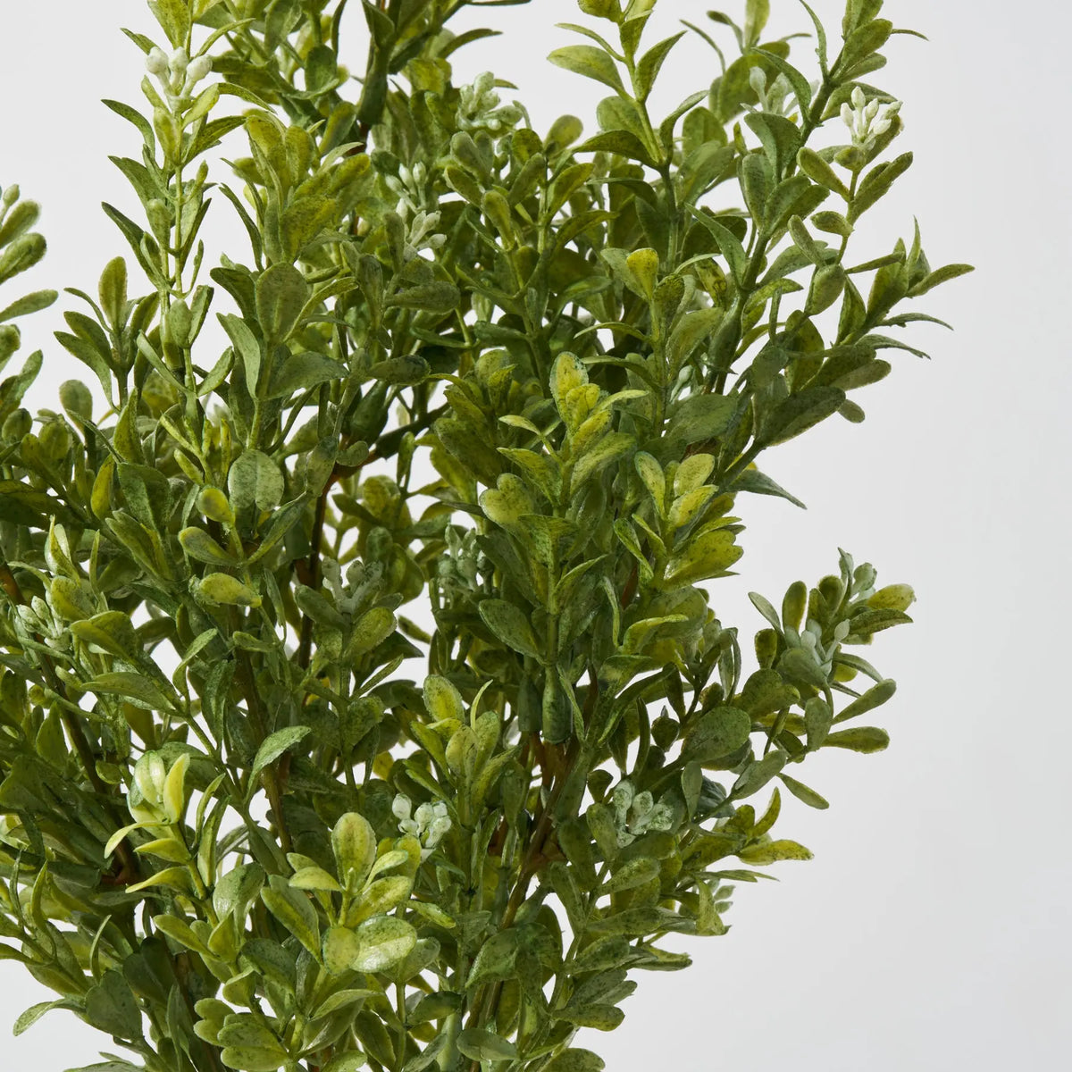 All Seasons Faux Two-Toned Green Boxwood Greenery Bush Spray - 17 ...