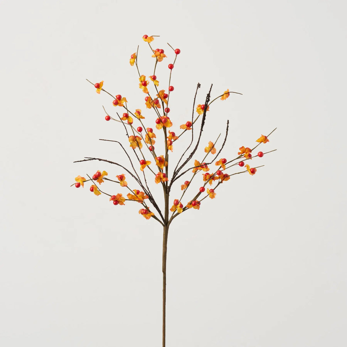 Orange & Red Bittersweet Berry Twig Branch Stem Spray - 31" - Darby ...