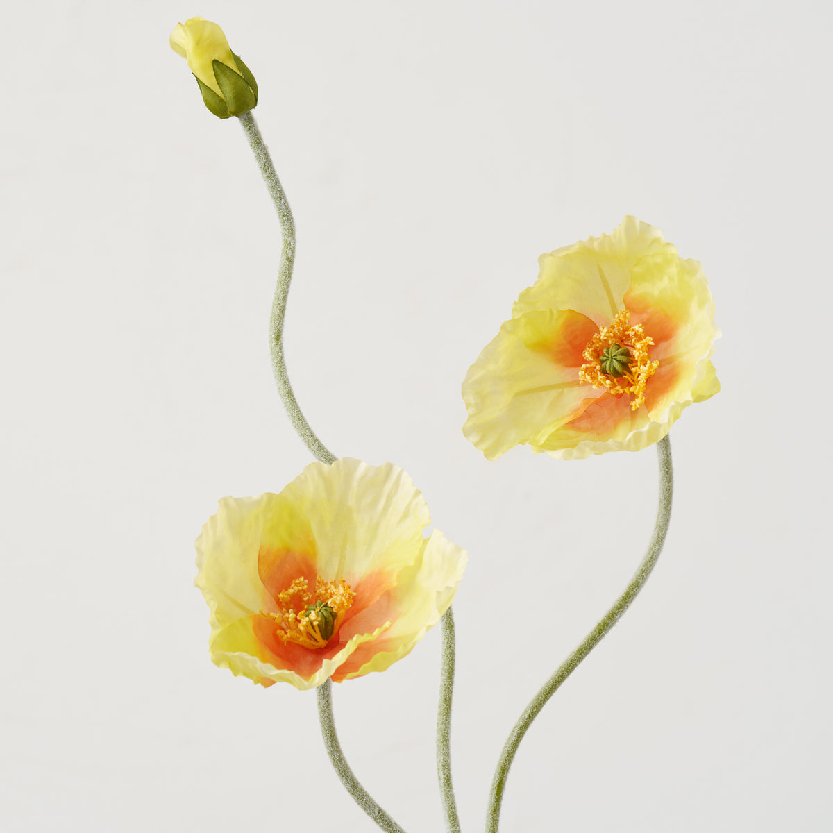 Yellow Poppy Bloom & Bud Faux Floral Stem Spray - 37" – Darby Creek Trading