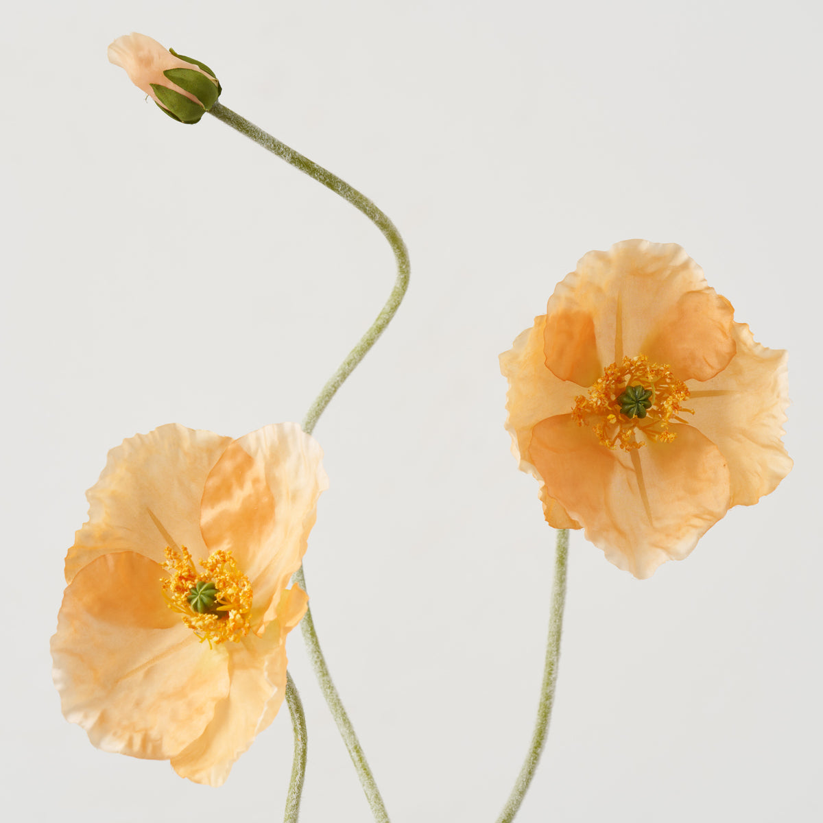 Coral Poppy Bloom & Bud Faux Floral Stem Spray - 37" – Darby Creek Trading