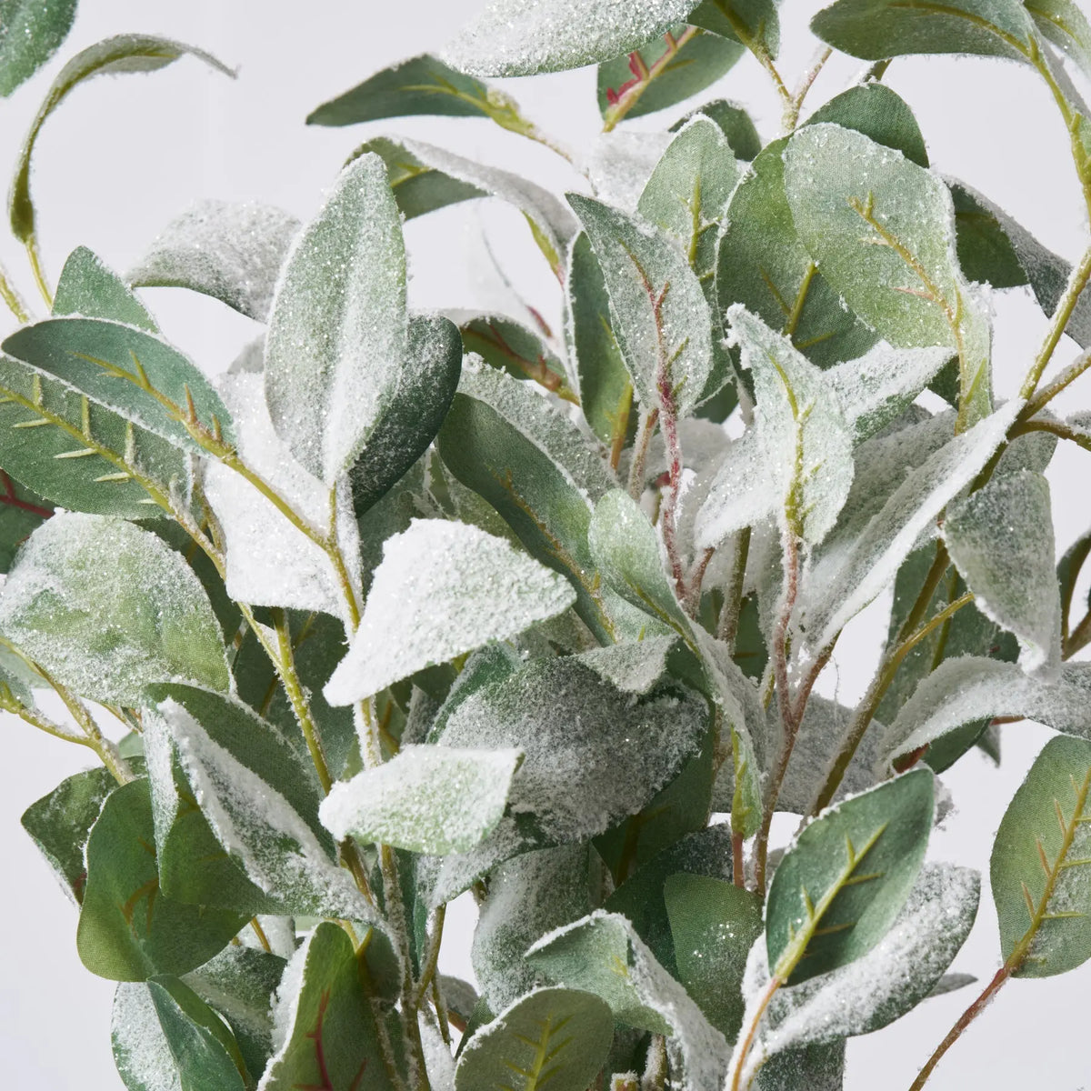 Snowy Flocked Faux Lemon Leaf Greenery Branch Spray Bundle of 3 Stems ...