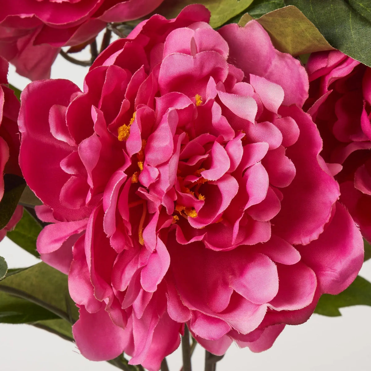 Fuchsia Pink Silk Peony Blooms 5 Stem Faux Floral Bouquet - 16" – Darby ...