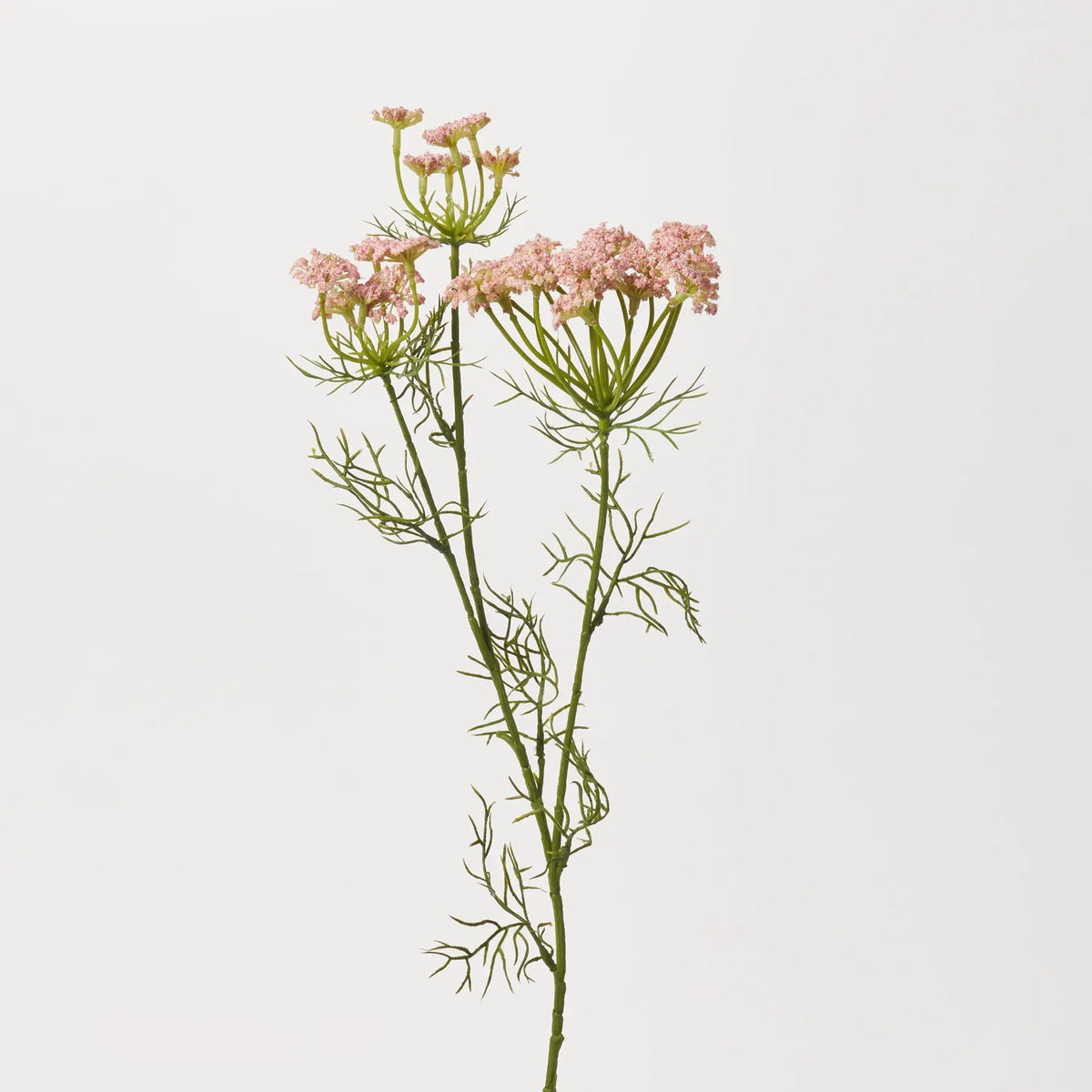 Light Pink Artificial Dill Spray Long Stem Faux Floral - 35" – Darby ...