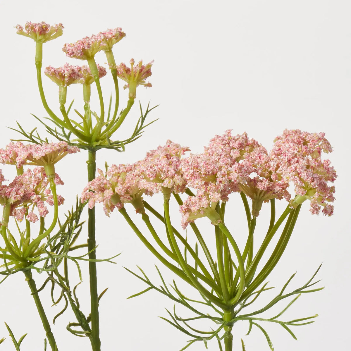 Light Pink Artificial Dill Spray Long Stem Faux Floral - 35" – Darby ...