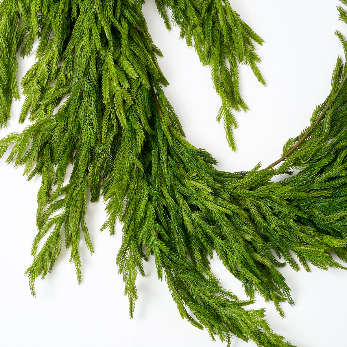 Draping Real Touch Norfolk Pine Garland Cascading Winter Greenery Chri ...