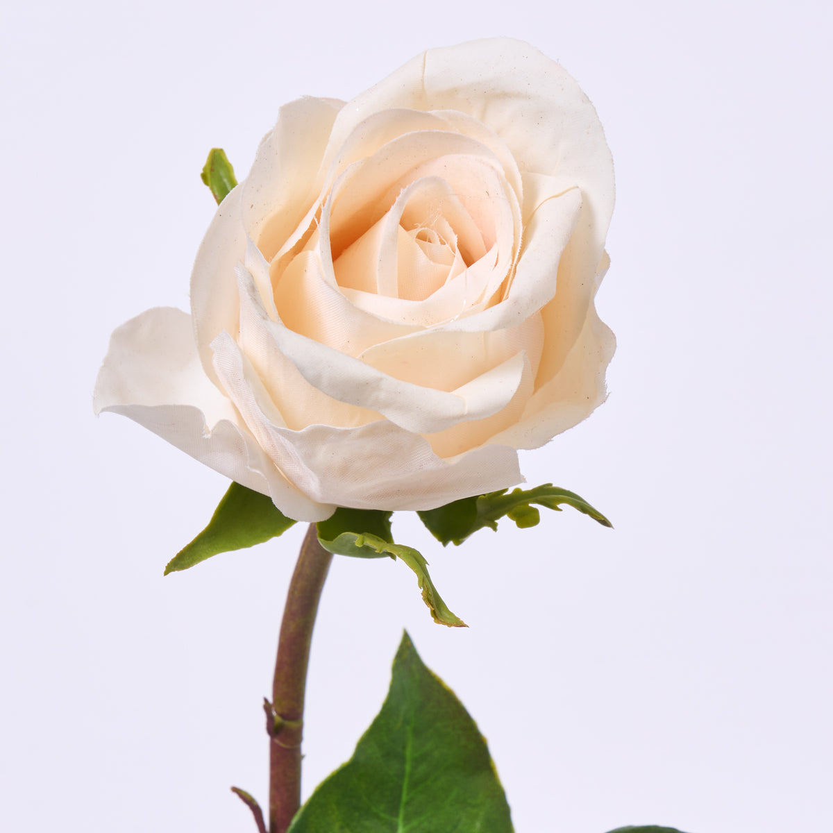 Real Touch Beige Single Rose Bloom 20" Faux Floral Stem – Darby Creek ...