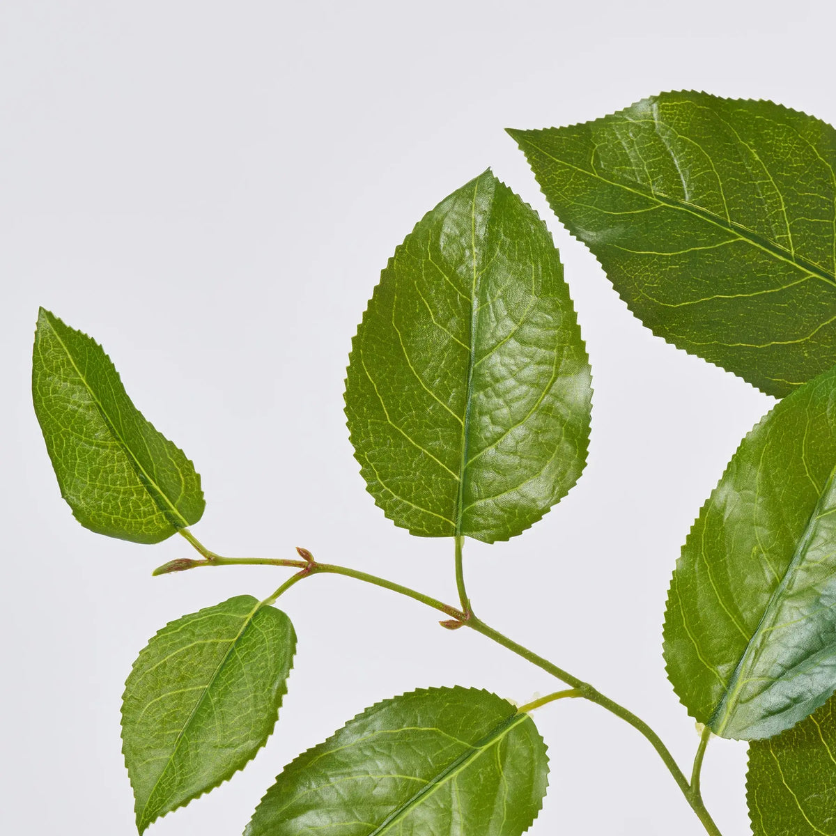 Real Touch Triple Salal Leaf Branch Spray Faux Everyday Greenery - 31 ...