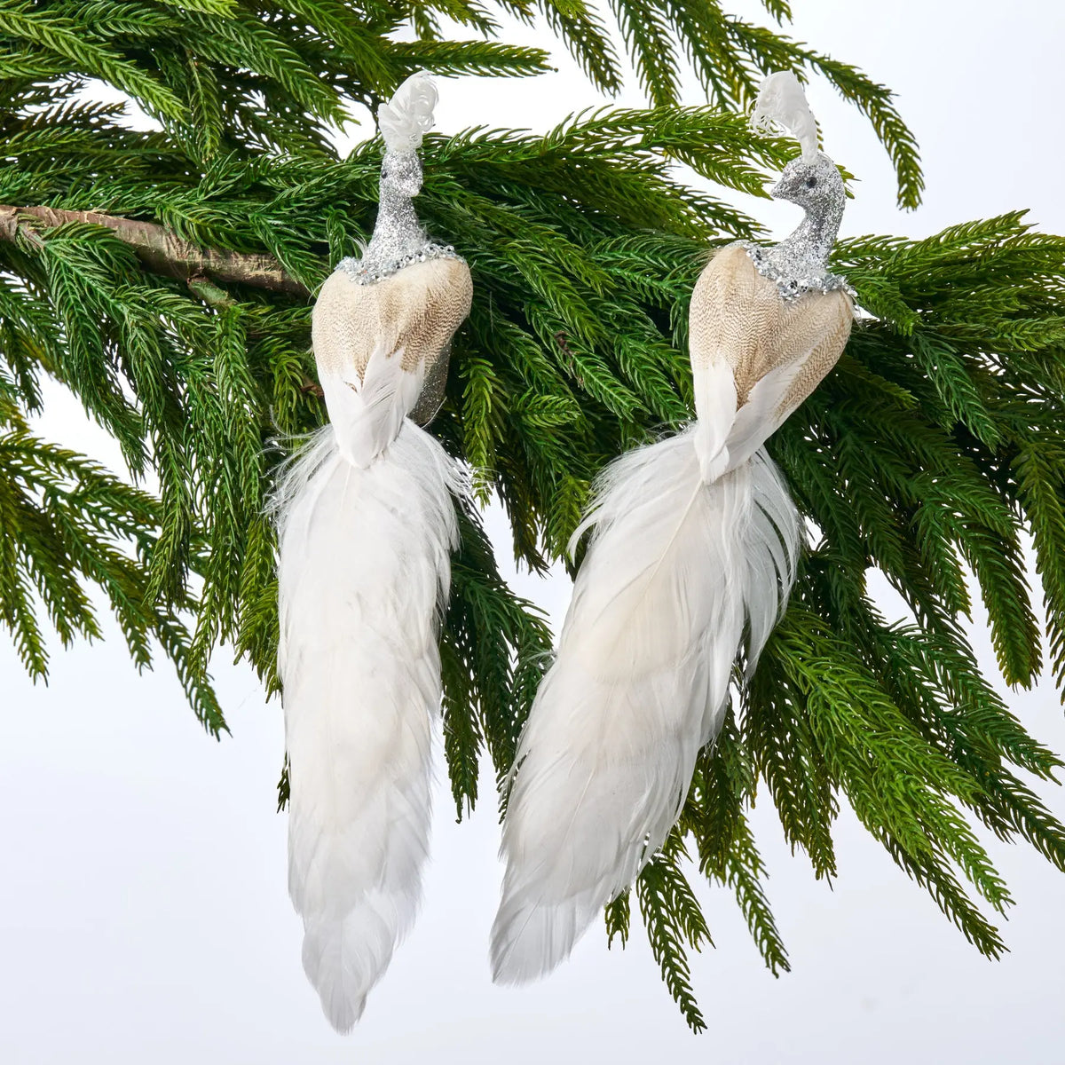 Pair of Silver & White Glitter Peacock Feathered Bird Clip-On – Darby ...