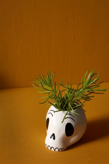 Ceramic Skeleton Skull Planter Pot Halloween Décor – Darby Creek Trading