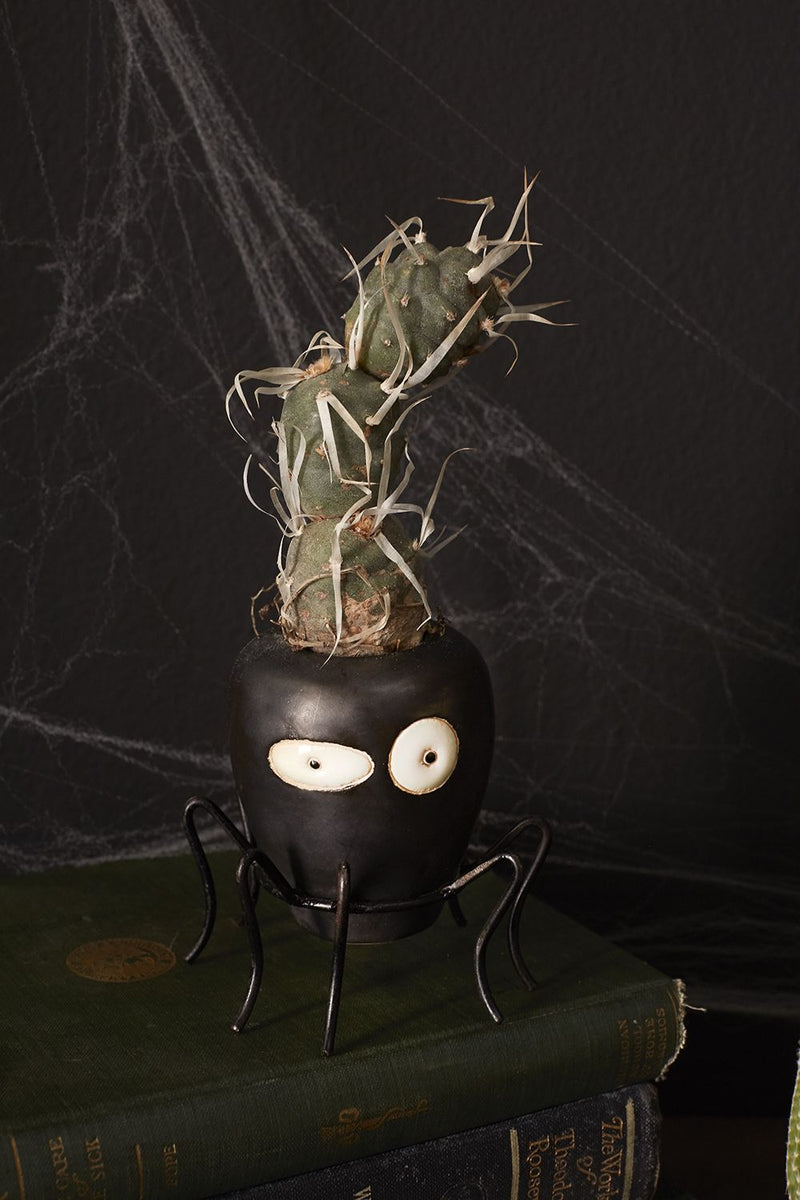 Wicked Cute Ceramic Spider Halloween Budvase Decor – Darby Creek Trading