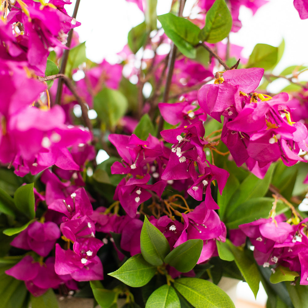 Realistic Bougainvillea Vines on Tall Iron Trellis Outdoor Artificial ...