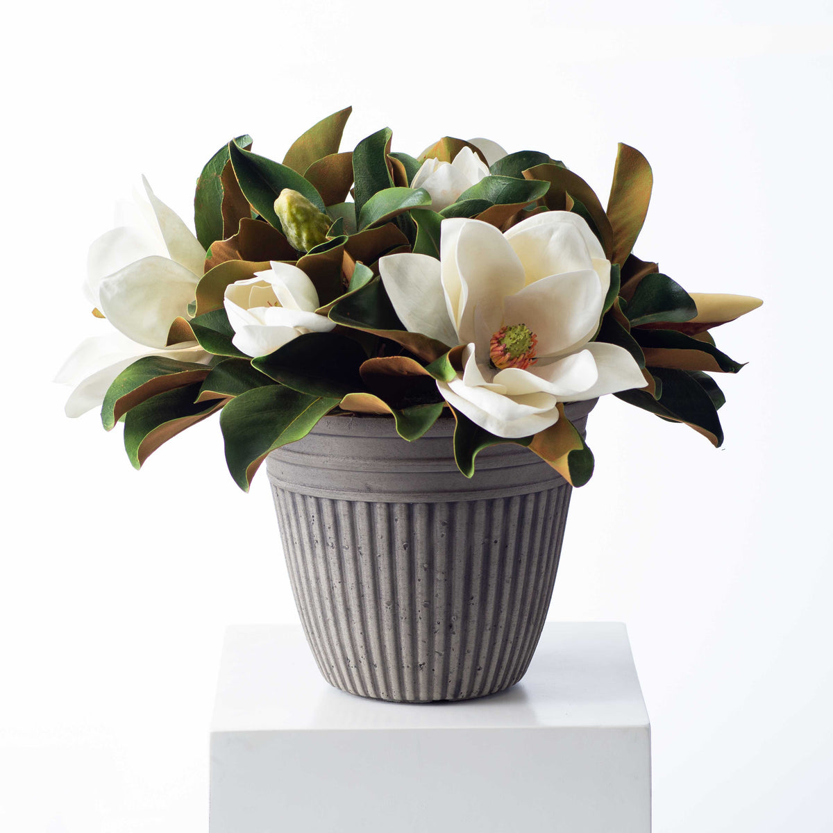 Real Touch Magnolia Buds & Blooms Urn Filler Everyday Arrangement Fron ...