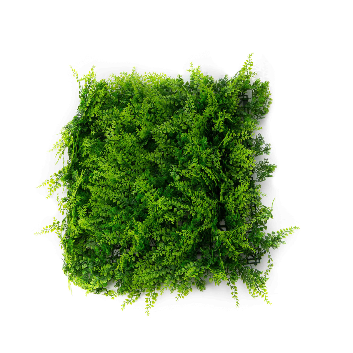 Faux Mediterranean Fern Greenery Square Wall Panel Everyday Arrangemen ...