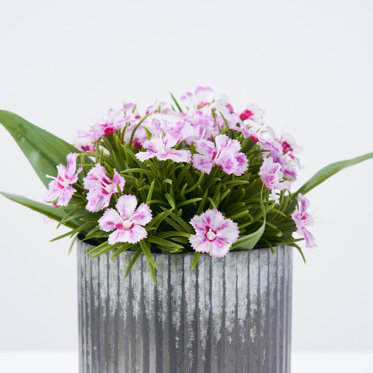 Real Touch Mini Dianthus Wildflowers in Galvanized Metal Tin - 2 Color ...