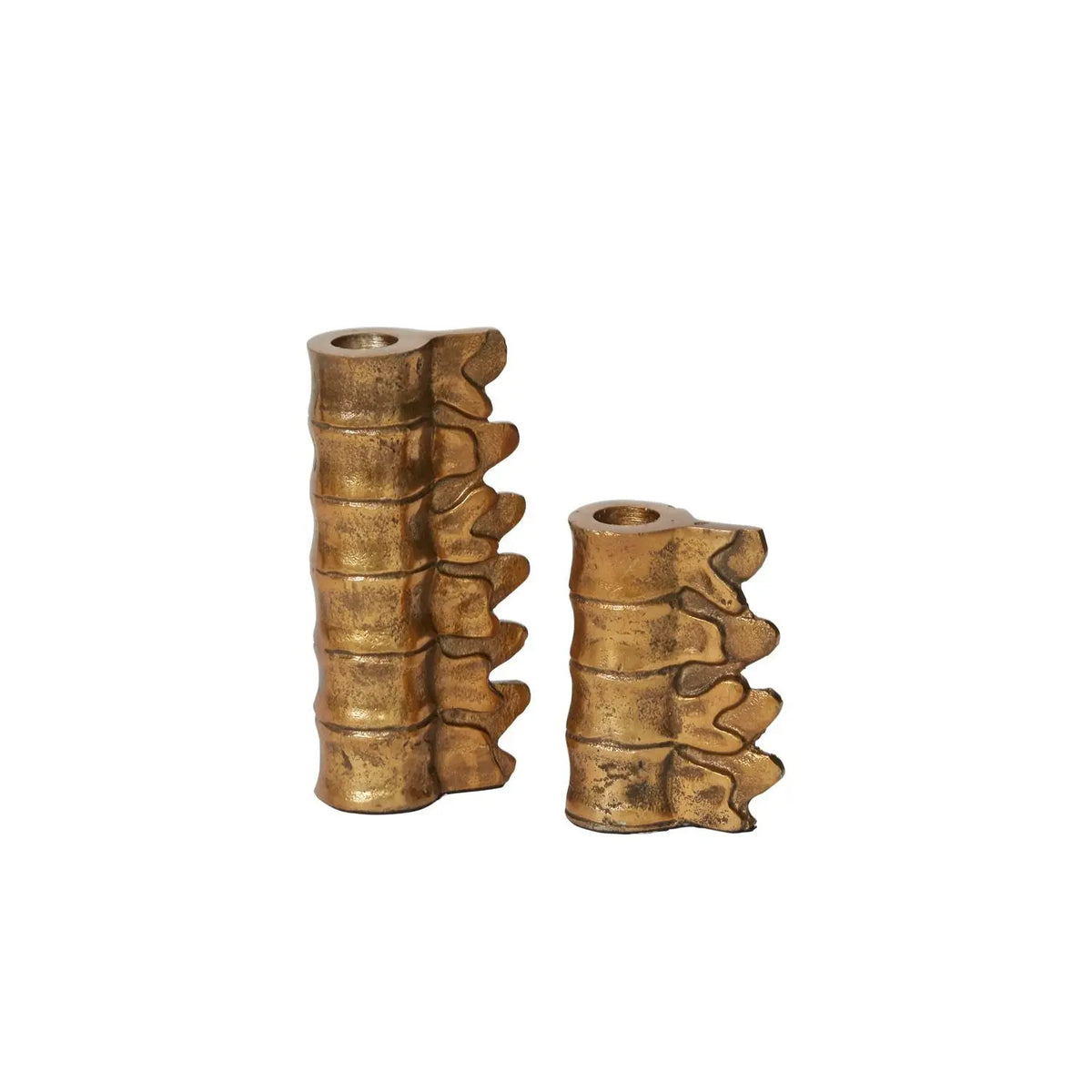Antiqued Gold Lumbar Spine Gothic Candle Holder Halloween Decorative O ...