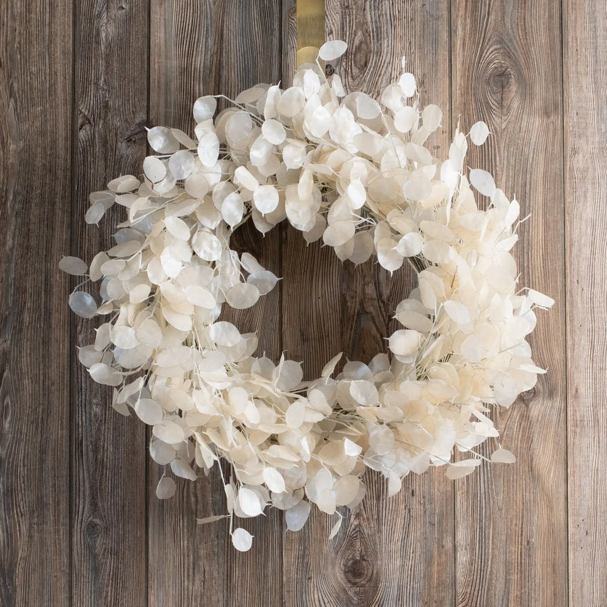 Dried Look Translucent Bleached Lunaria All Seasons Fall Wreath ...