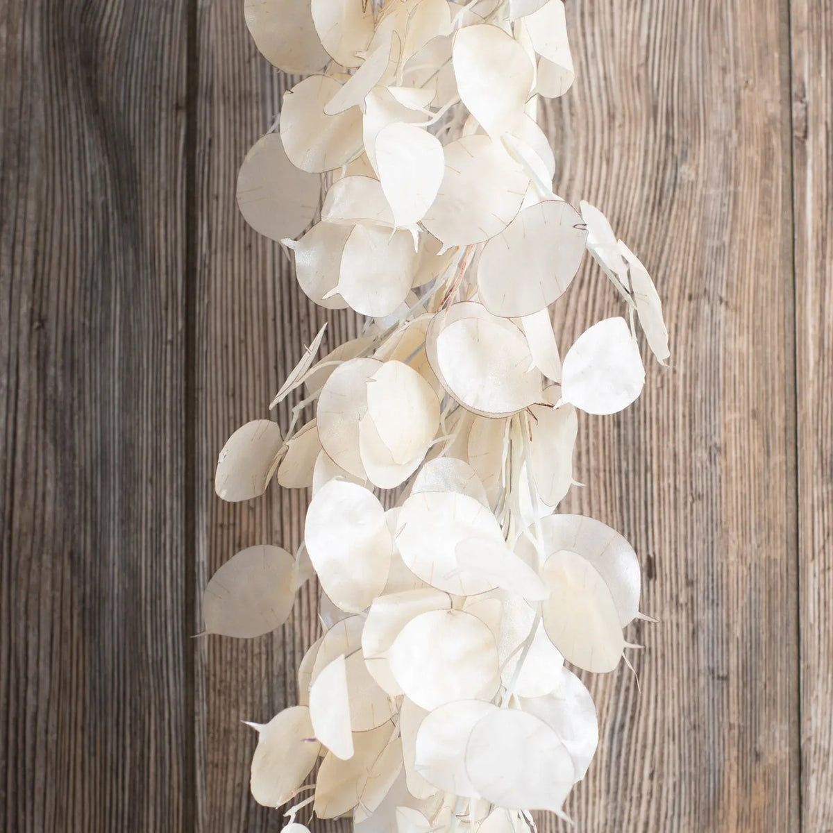 Dried Look Translucent Bleached Lunaria All Seasons Garland - Multiple ...