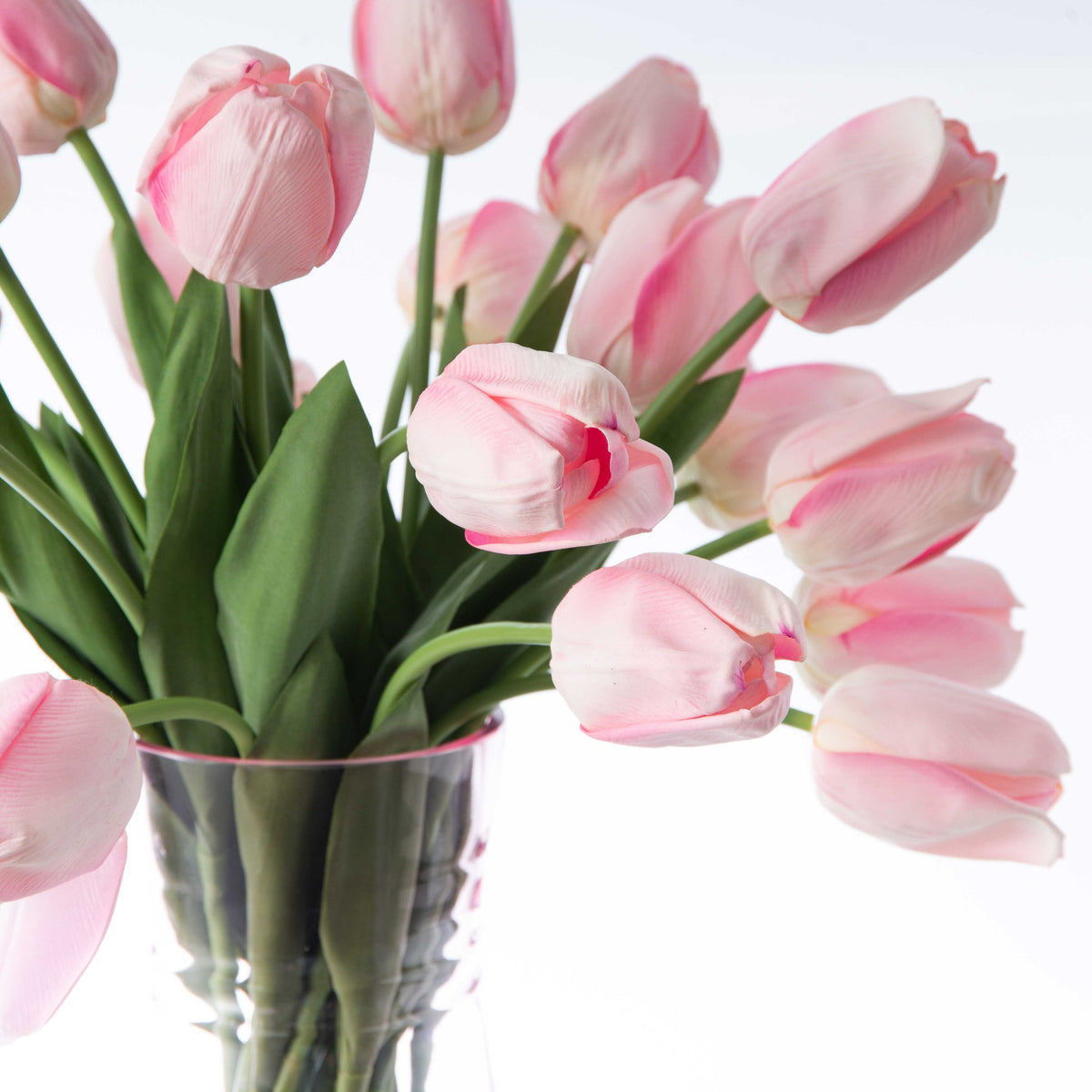 Light Pink Tulips